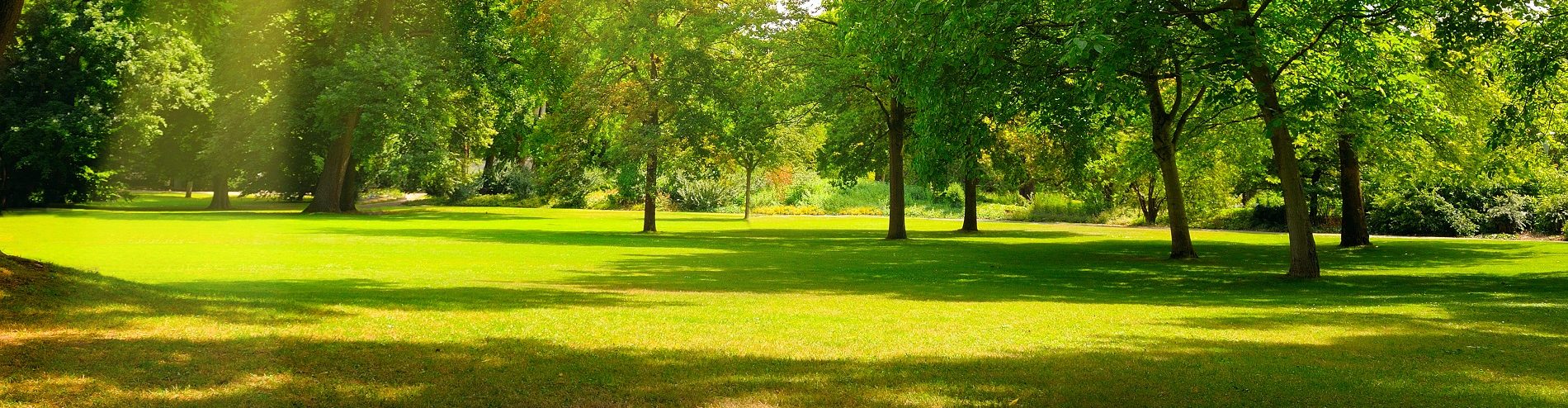 FERTIGREEN RESISTENT | Burés Profesional