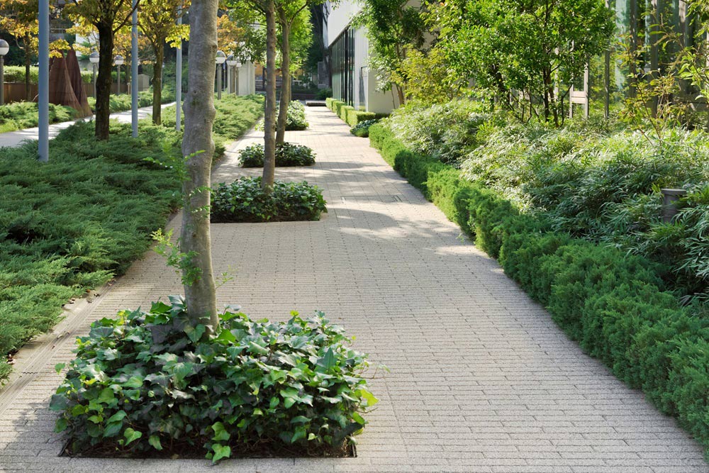 Transformant el paisatge urbà | Burés Profesional